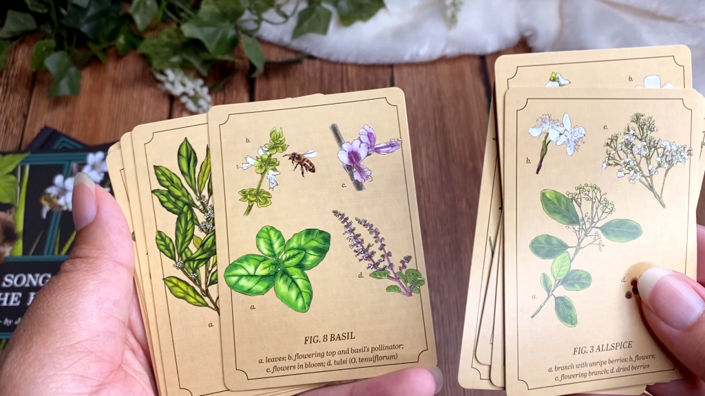 Herbalist’s Primer Unboxing & First Impressions – ChromaGlitch